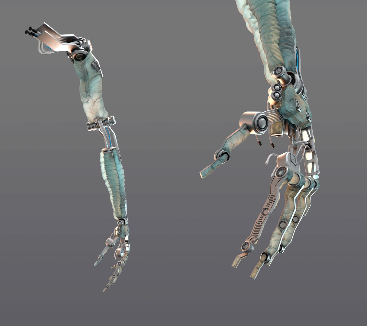 3D Hand Anatomy Mechanical - TurboSquid 1605025
