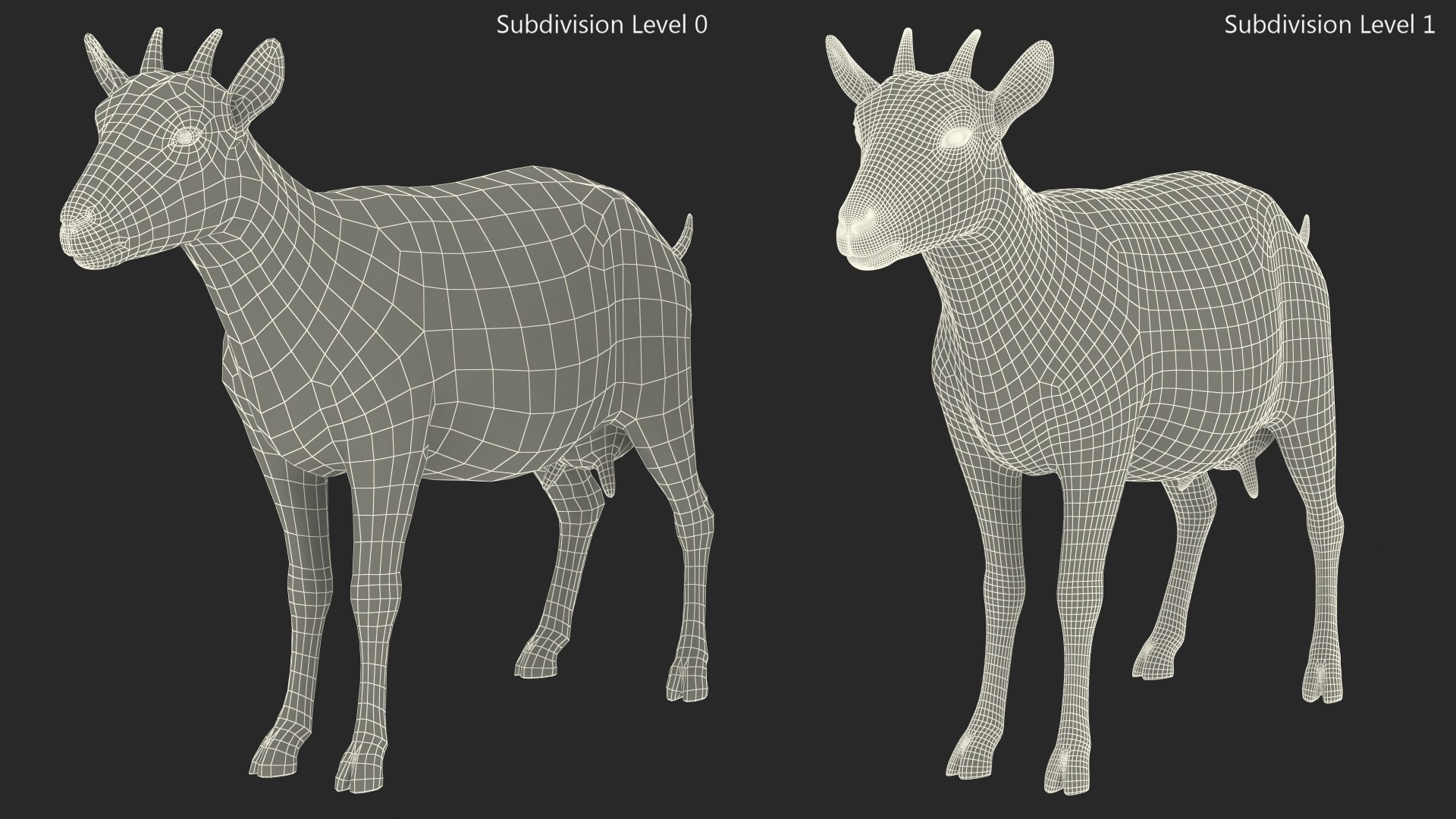 Domestic Goat Rigged 3D Model - TurboSquid 1992128
