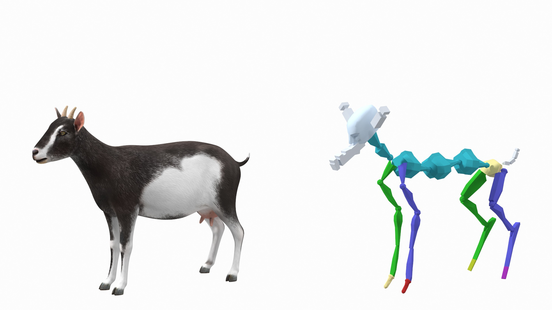 Domestic Goat Rigged 3D Model - TurboSquid 1992128