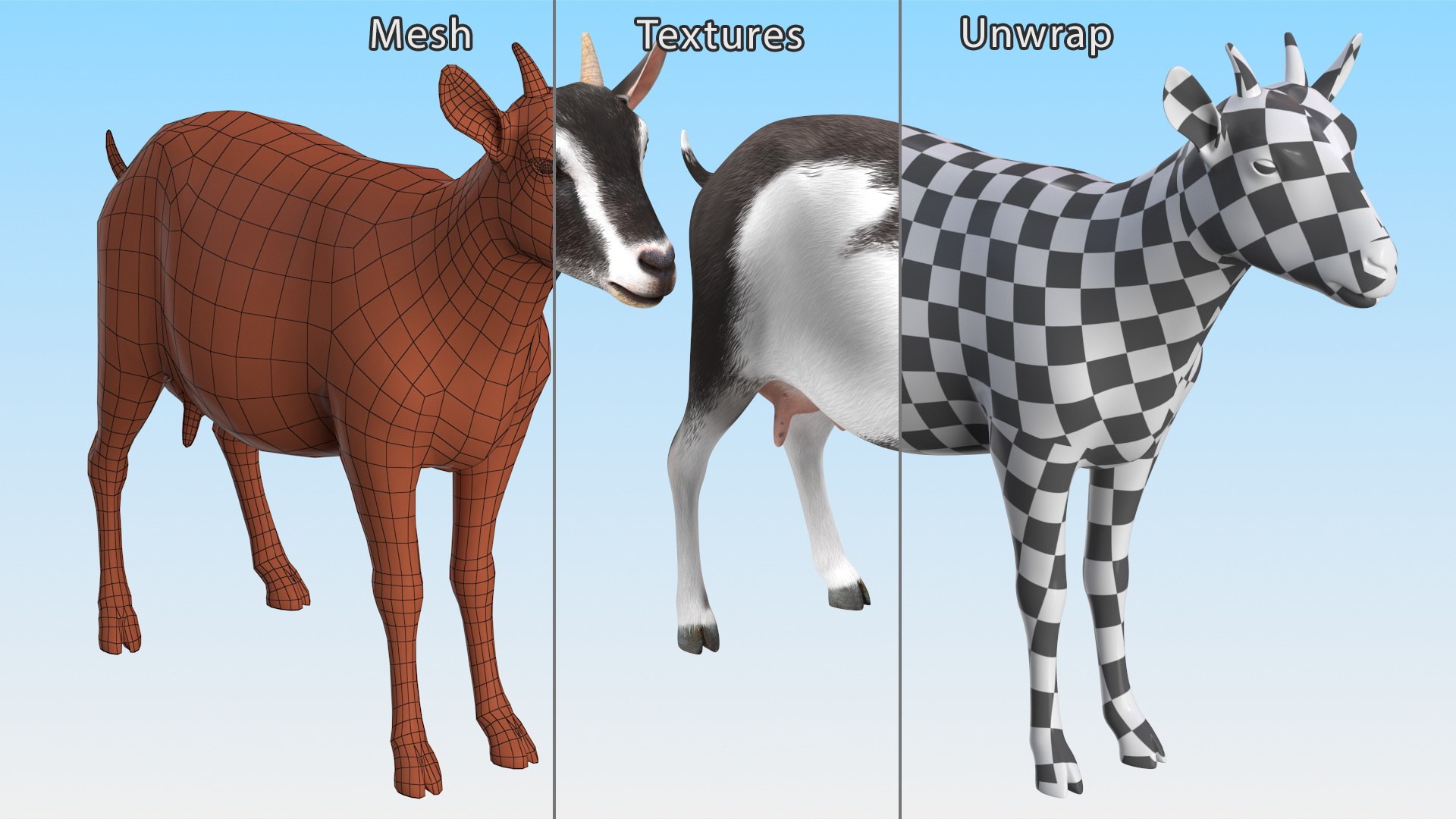 Domestic Goat Rigged 3D Model - TurboSquid 1992128