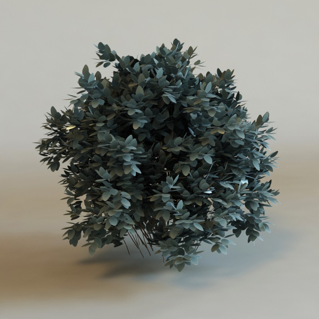 3ds Conocarpus Erectus Modelled