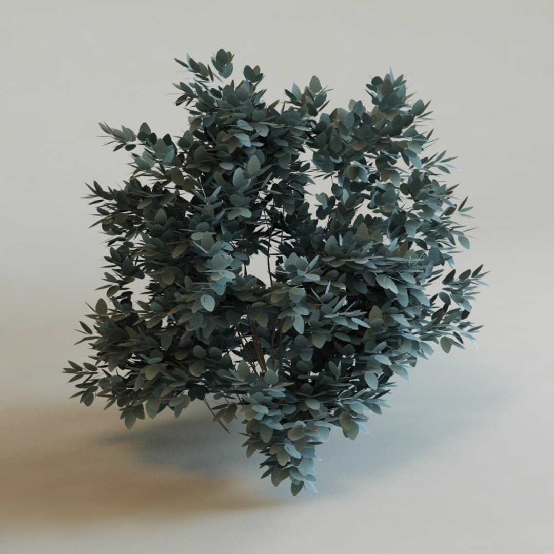 3ds Conocarpus Erectus Modelled