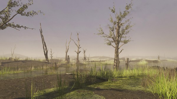 Swamp 3D model - TurboSquid 1718464