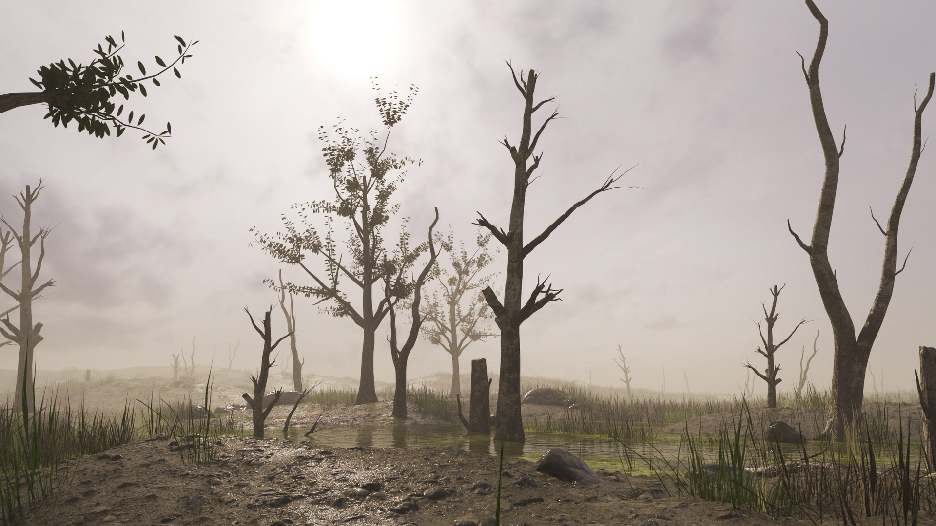 Swamp 3D model - TurboSquid 1718464