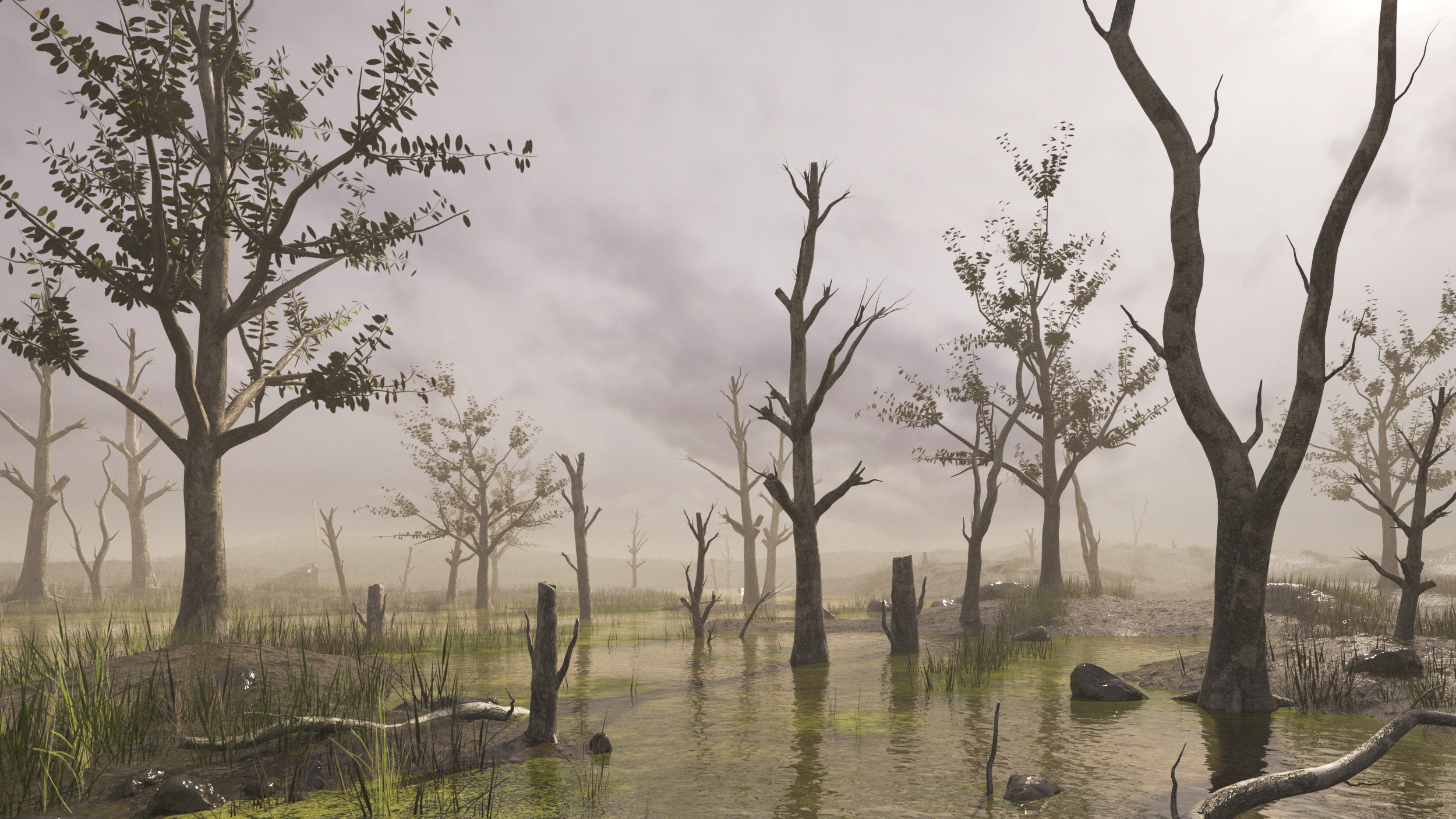 Swamp 3D model - TurboSquid 1718464