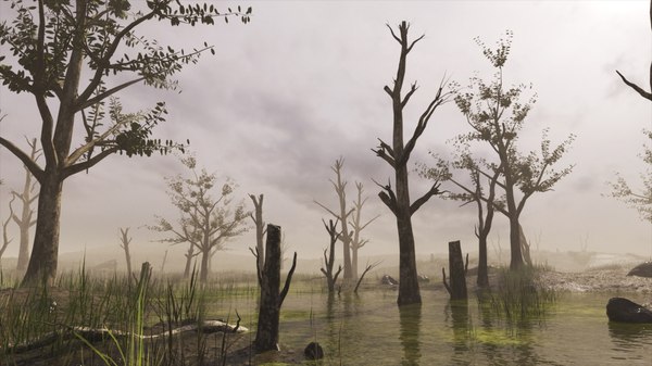 Swamp 3D model - TurboSquid 1718464