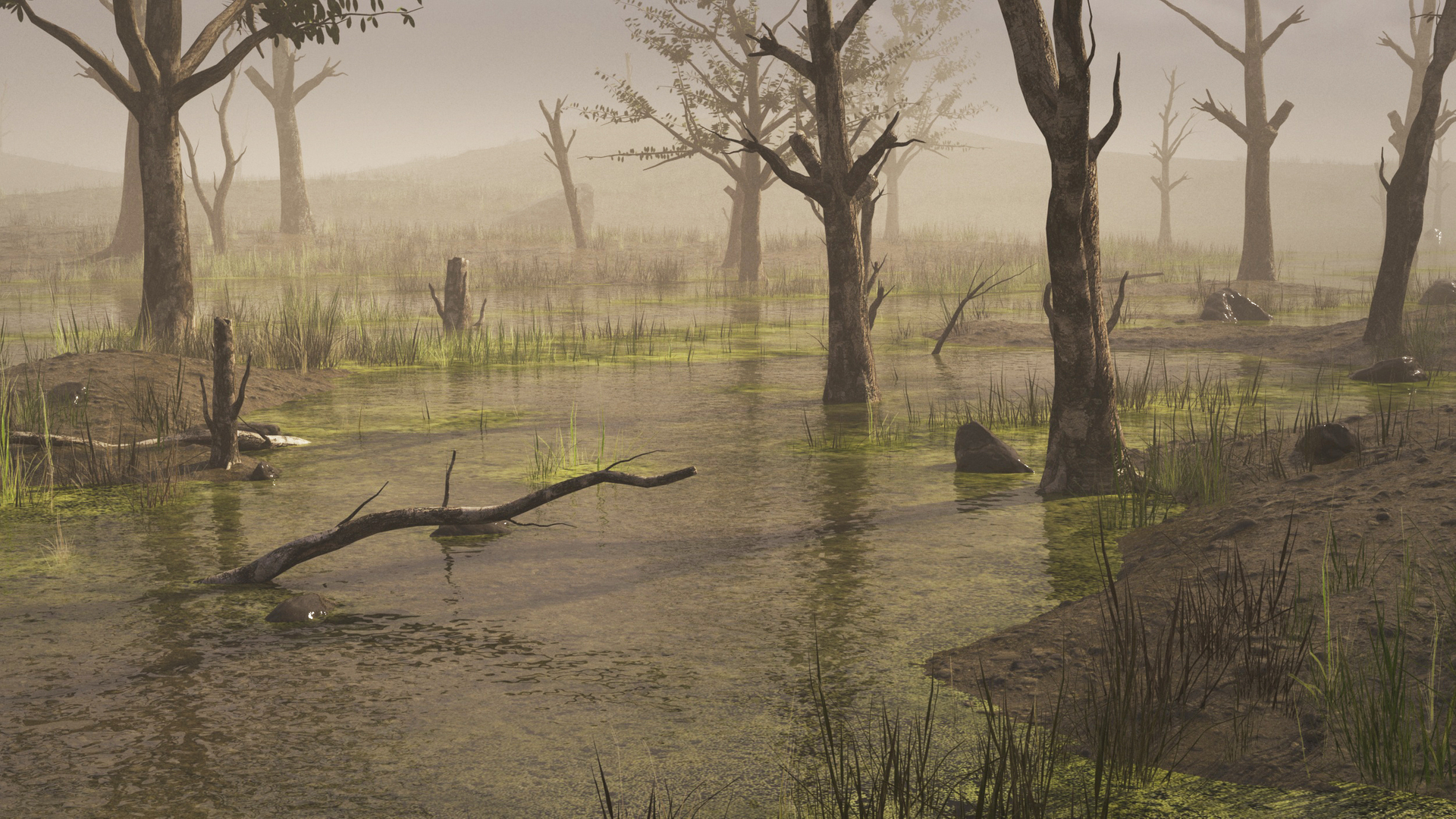 Swamp 3D model - TurboSquid 1718464