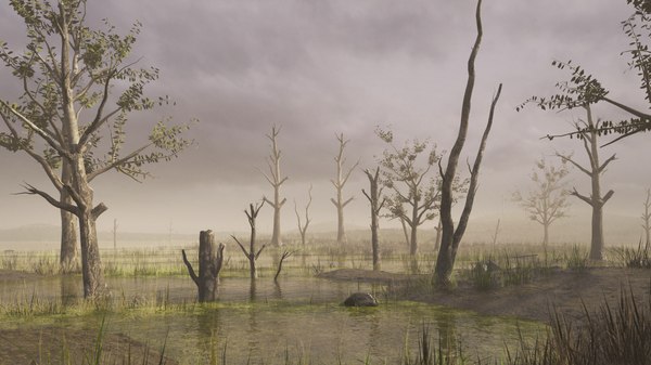 Swamp 3D model - TurboSquid 1718464