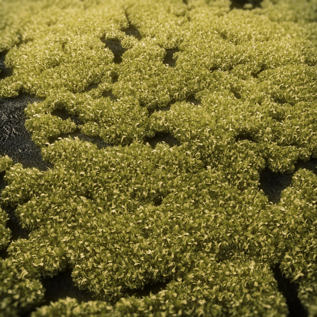 Moss 3 3D Model - TurboSquid 1534992