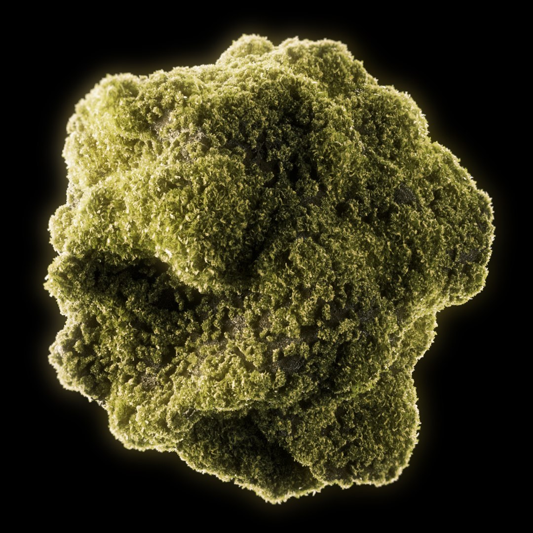 Moss 3 3D Model - TurboSquid 1534992