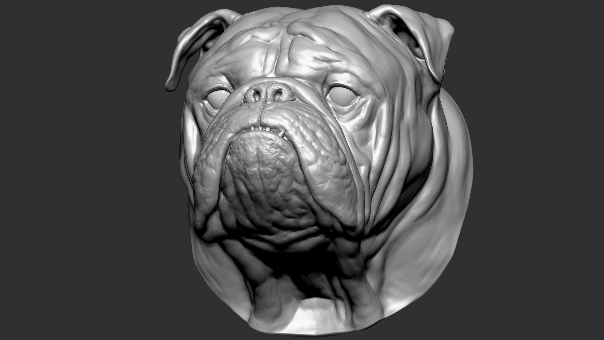 3D модель English Bulldog Dog head - TurboSquid 1889445