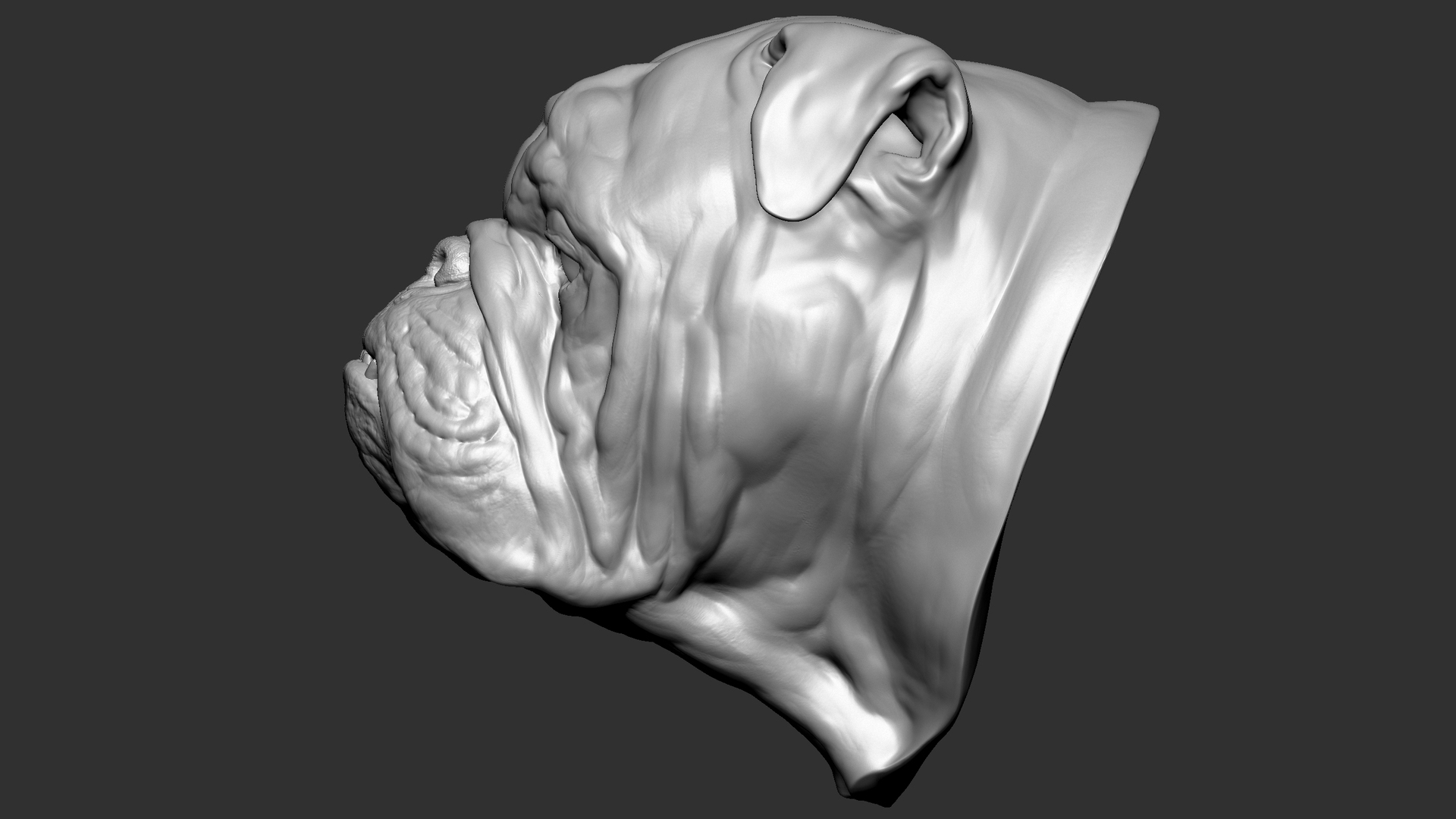 3D модель English Bulldog Dog head - TurboSquid 1889445