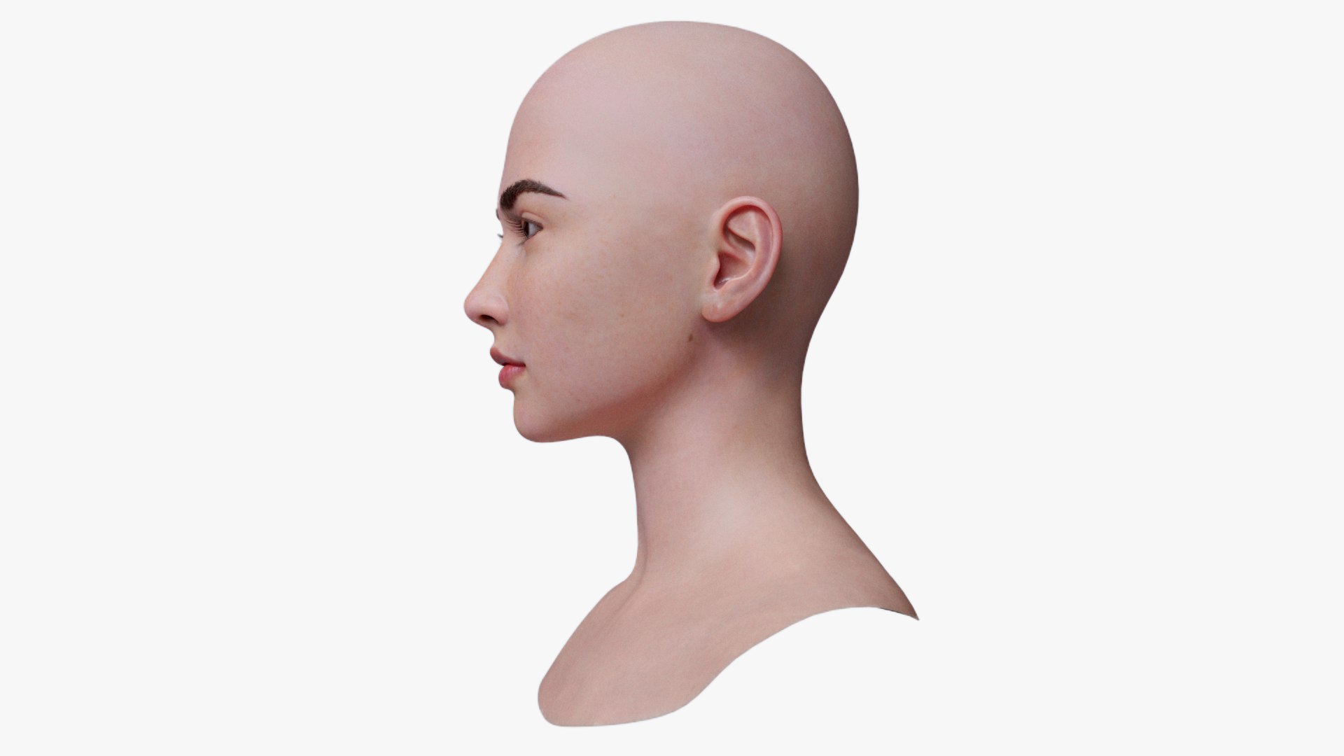 3D Asian Female Head Base Mesh Metahuman Topology V3 - TurboSquid 2259359