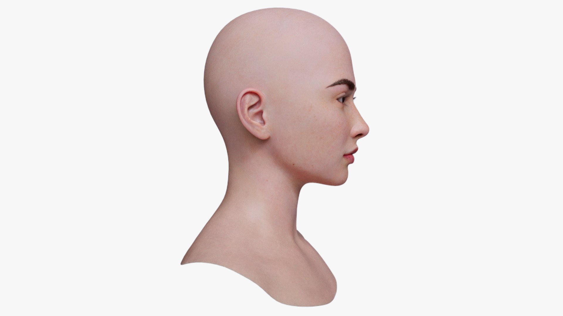 3D Asian Female Head Base Mesh Metahuman Topology V3 - TurboSquid 2259359