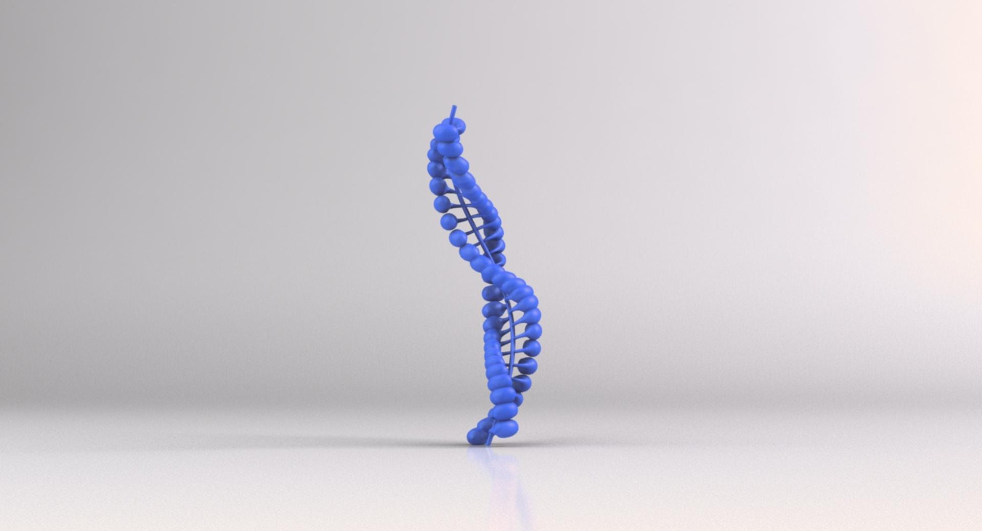 Medical 3d Model
