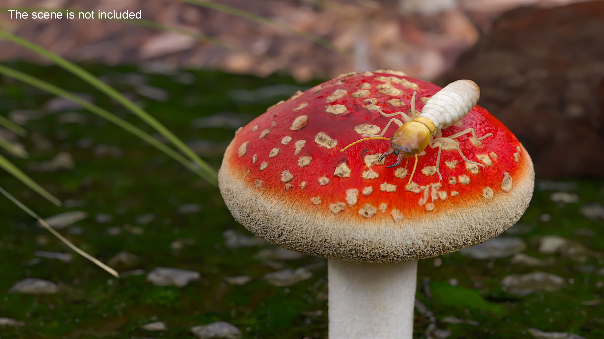 Termite Model - TurboSquid 2328248