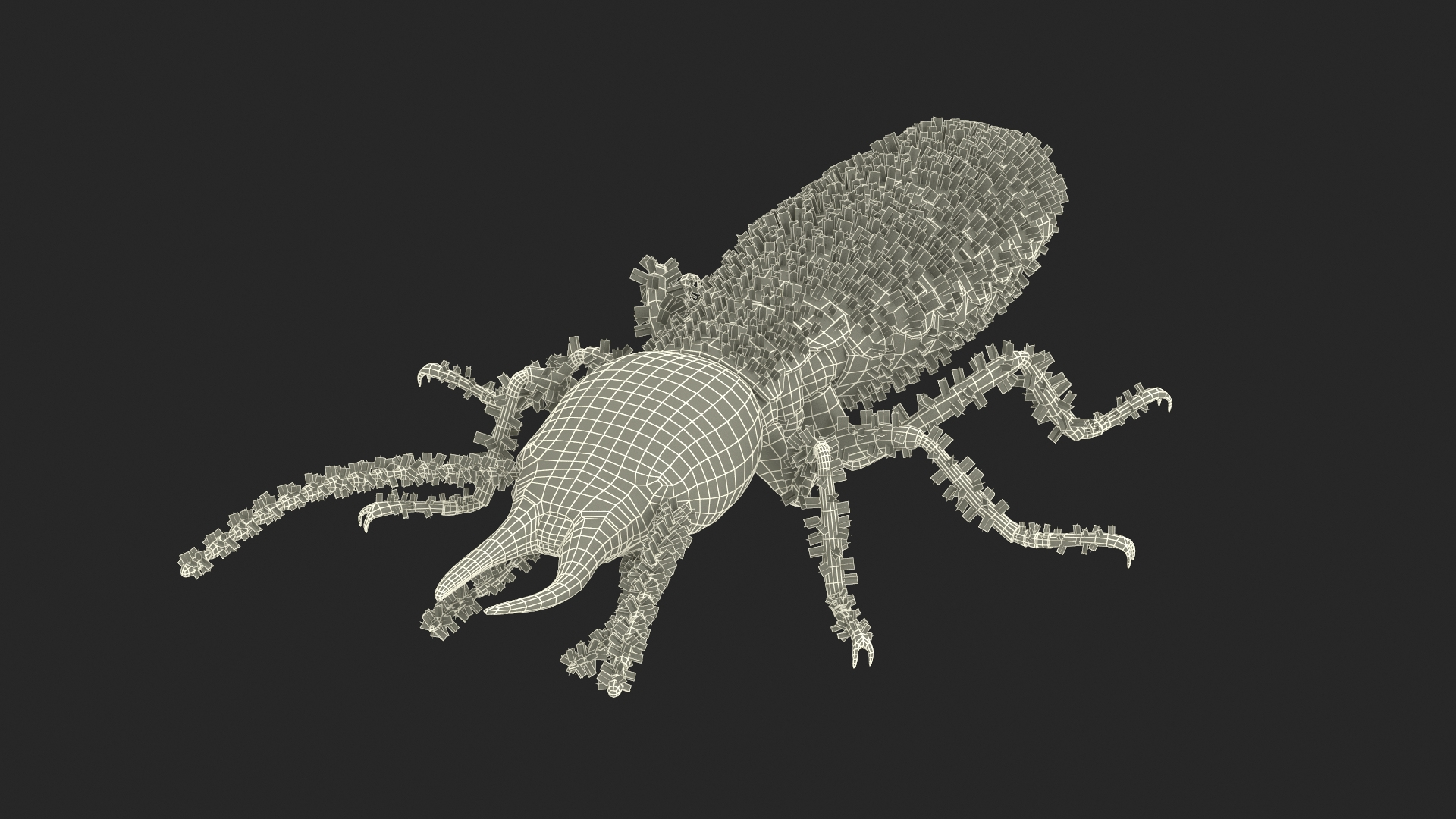 Termite Model - TurboSquid 2328248