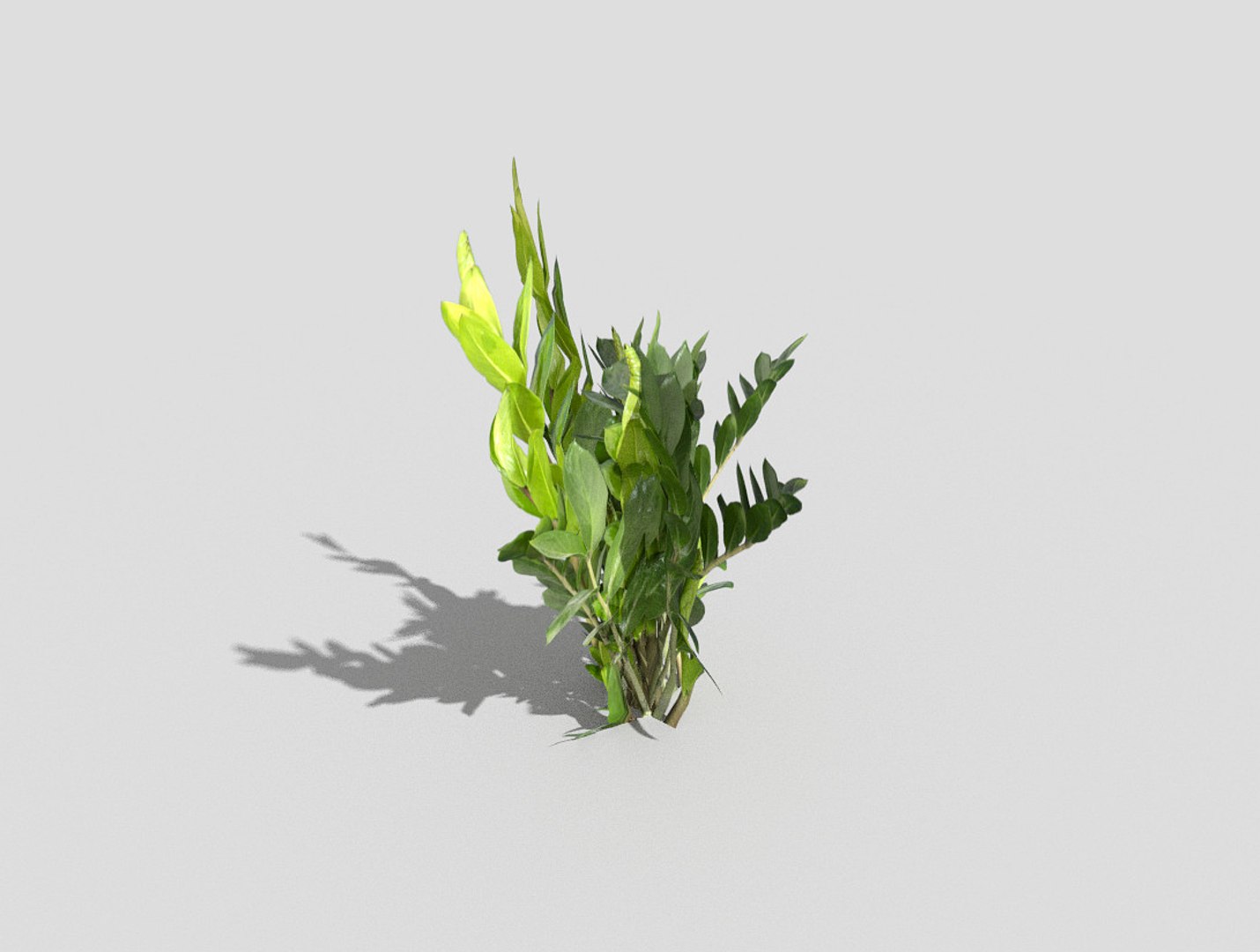 3d Plant Model