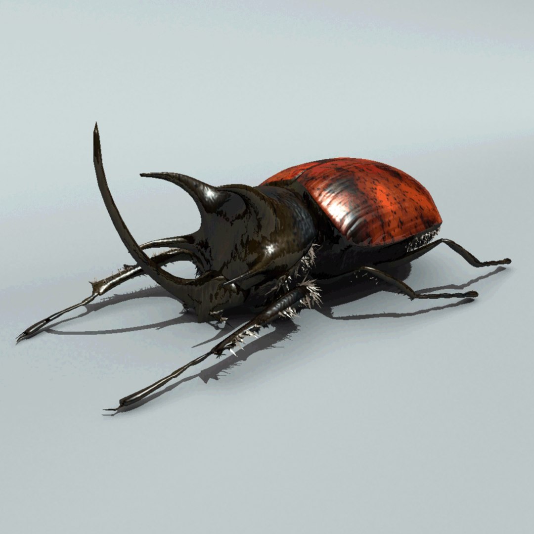 Beetle Bug 3d Ma