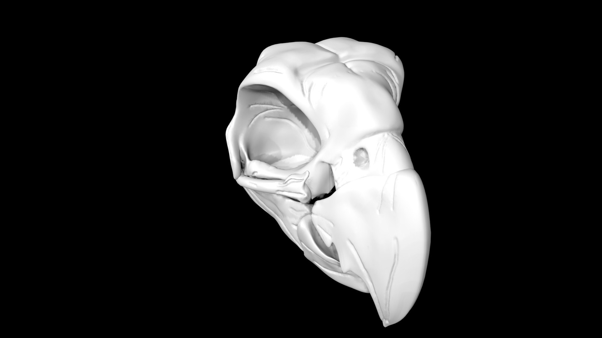 Parrot Skull 3D - TurboSquid 1886930