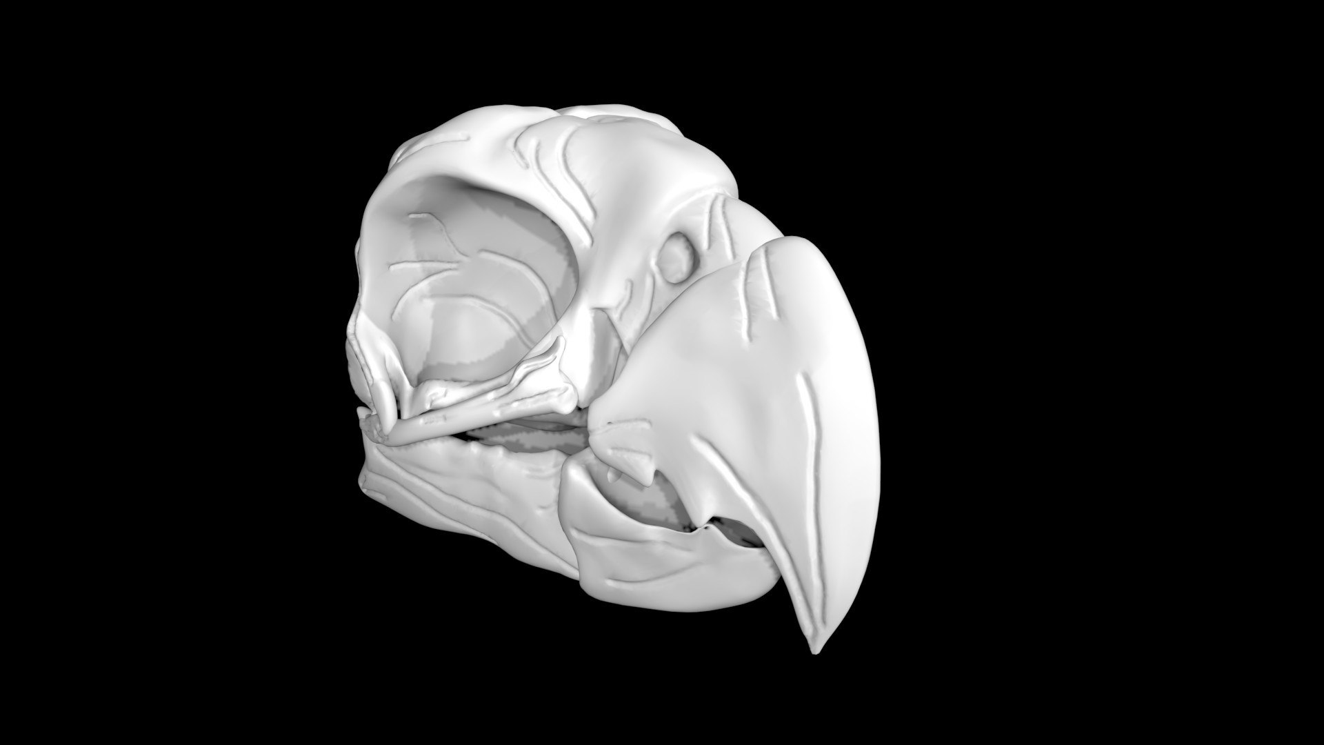 Parrot Skull 3D - TurboSquid 1886930
