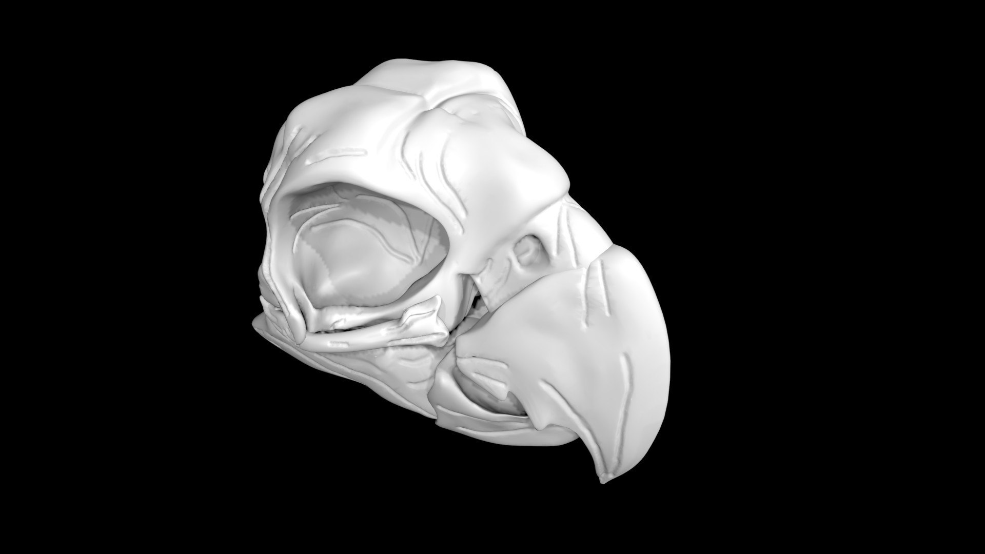 Parrot Skull 3D - TurboSquid 1886930