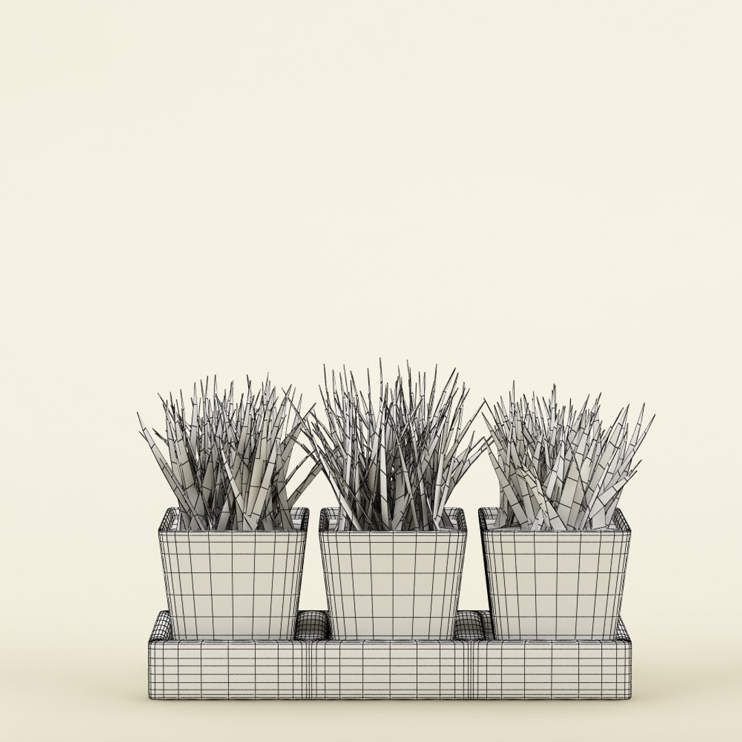 3ds Max Plant Realistic Flowerpot