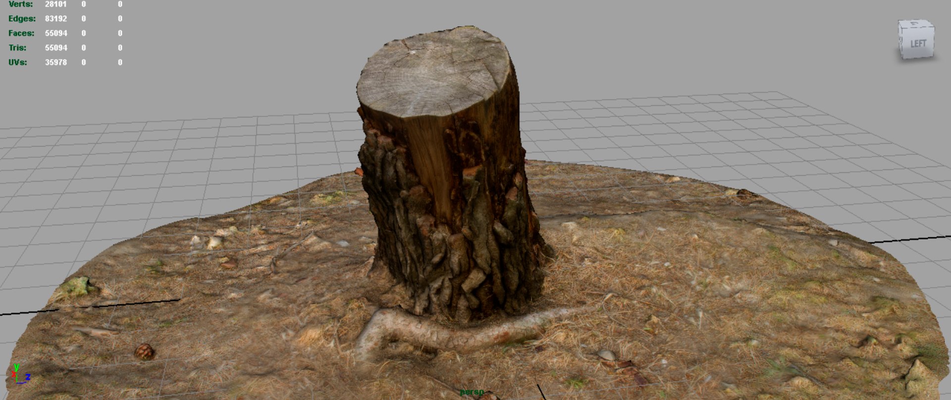 3D realistic tree stump - TurboSquid 1164153