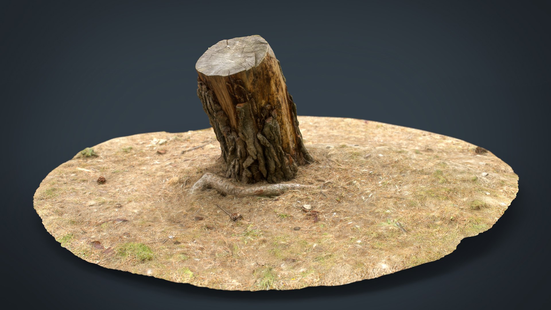 3D realistic tree stump - TurboSquid 1164153