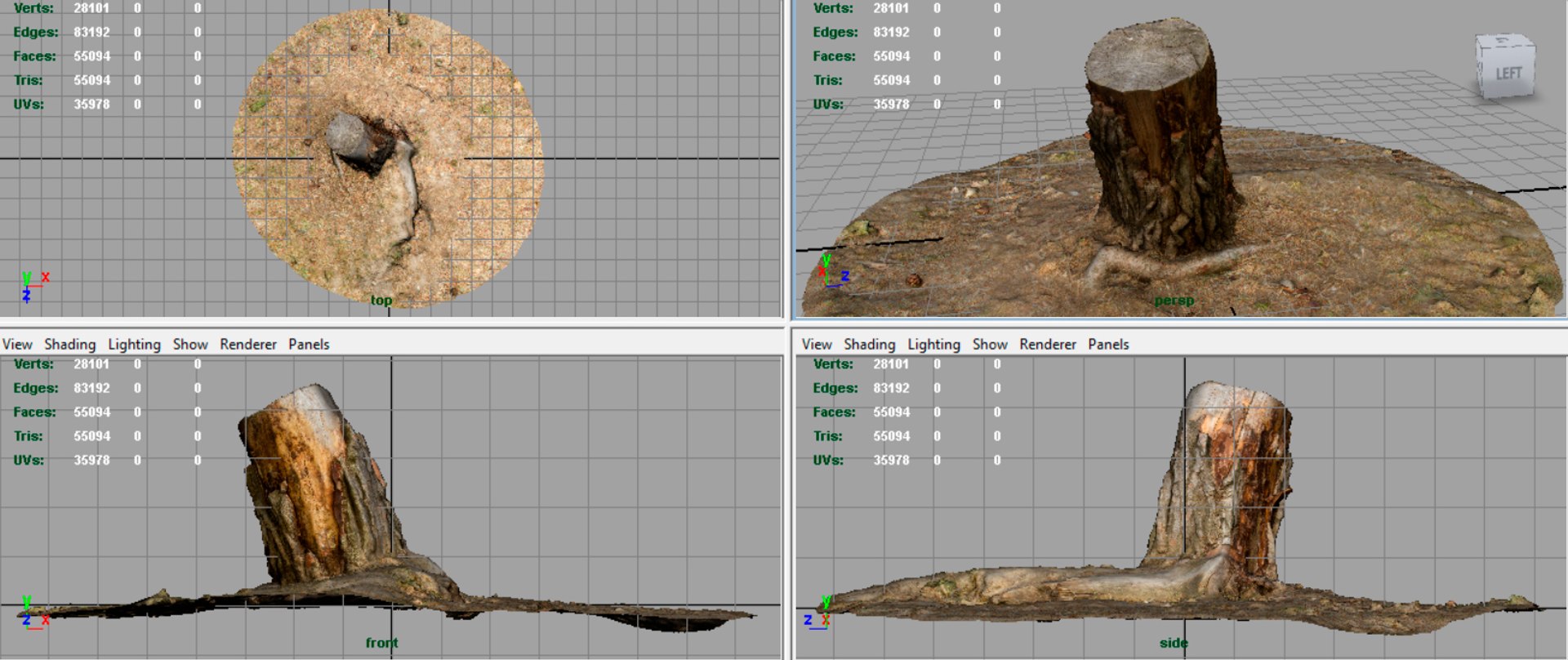 3D realistic tree stump - TurboSquid 1164153