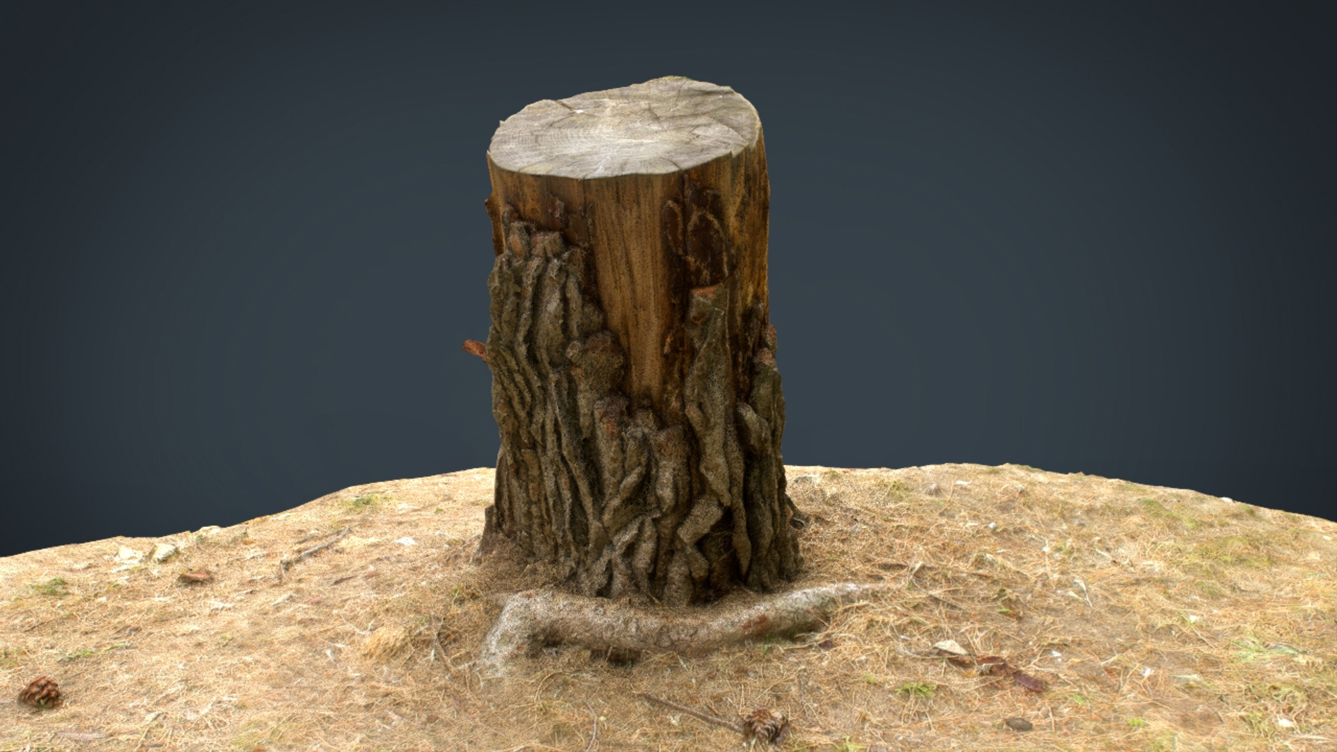 3D realistic tree stump - TurboSquid 1164153