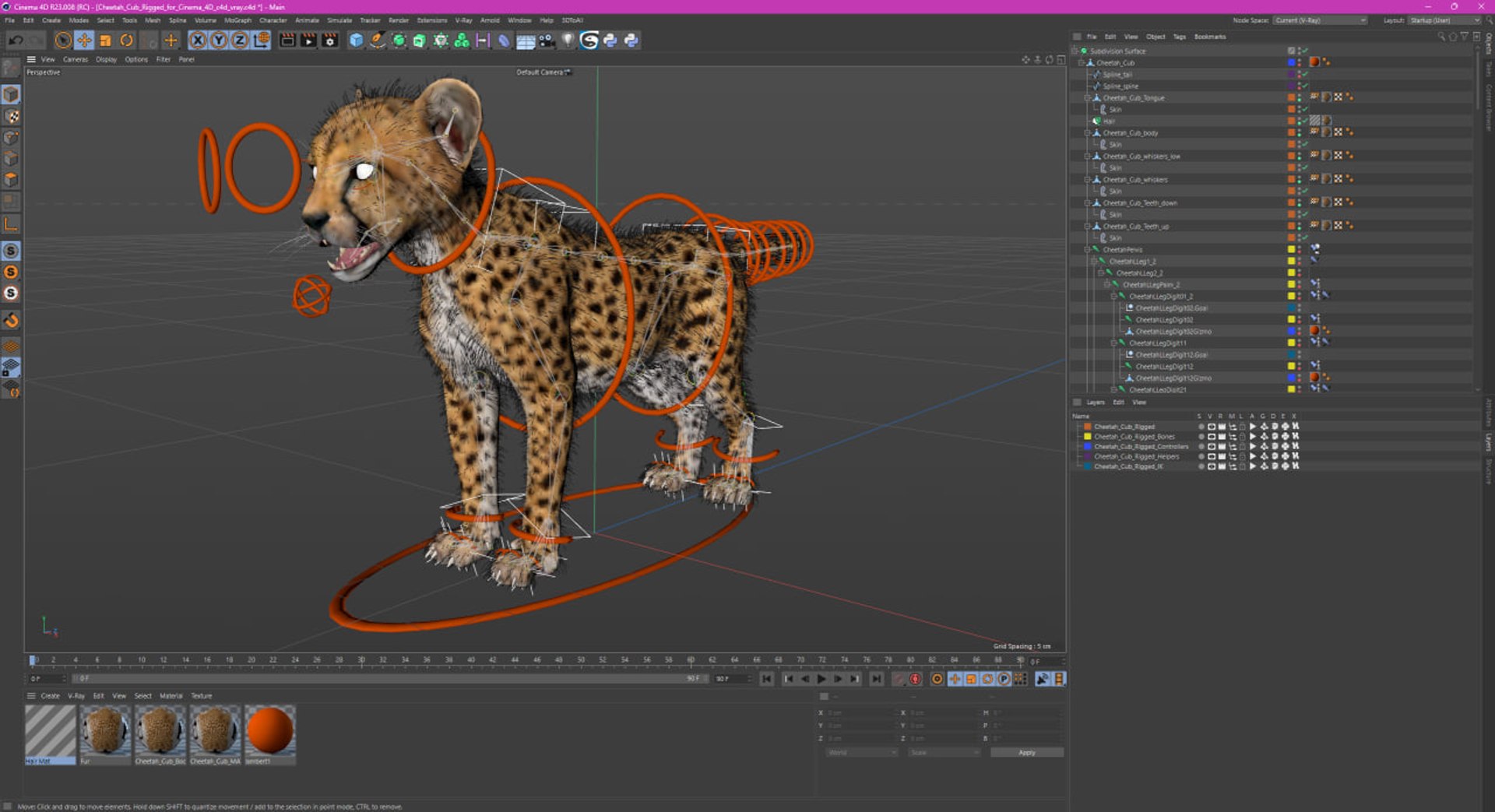 Cheetah Cub Fur For Cinema 4D Rigged 3D Model - TurboSquid 2407480