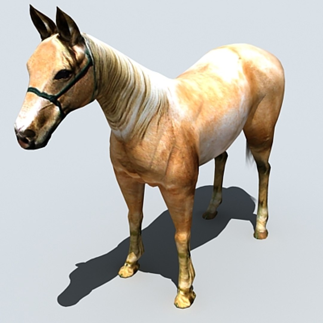 Horse 3D model - TurboSquid 370451