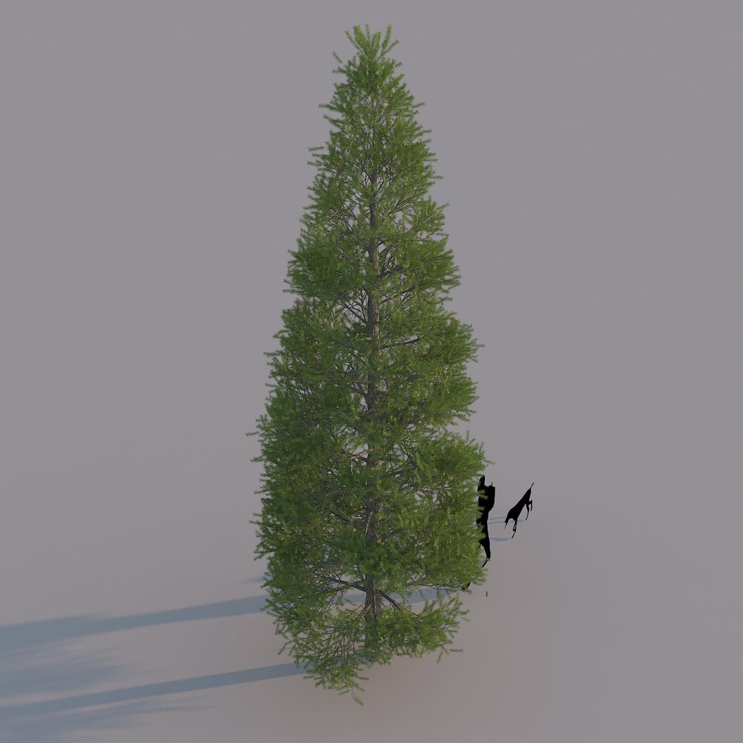 3d Model Spruce Tree
