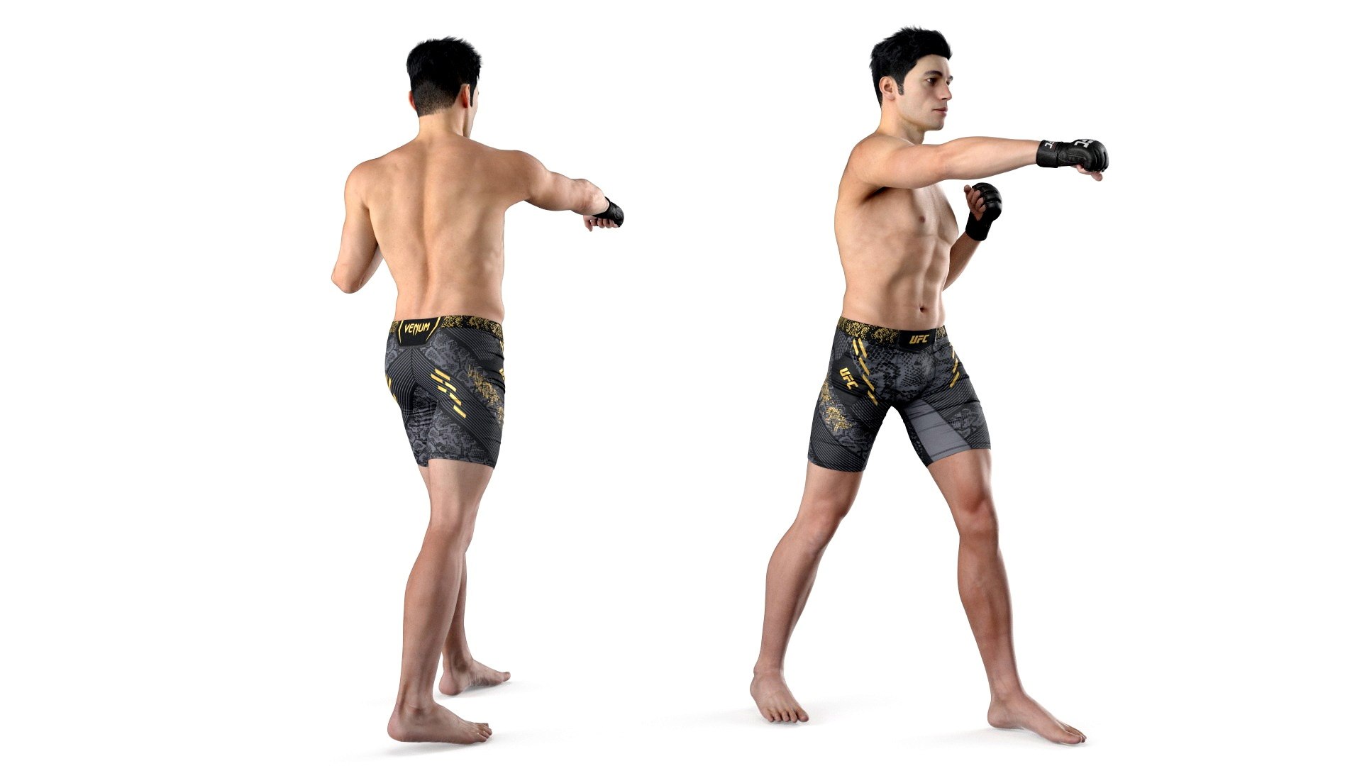 3D UFC MMA Fighter In Kicking Stance Fur Model - TurboSquid 2334003