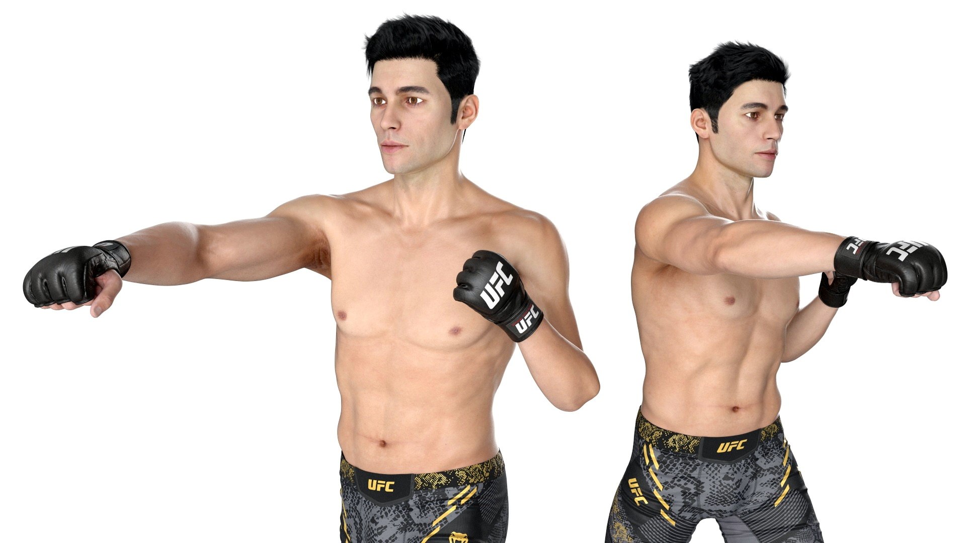 3D UFC MMA Fighter In Kicking Stance Fur Model - TurboSquid 2334003
