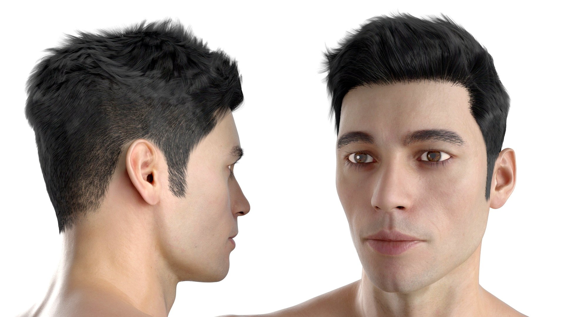 3D UFC MMA Fighter In Kicking Stance Fur Model - TurboSquid 2334003