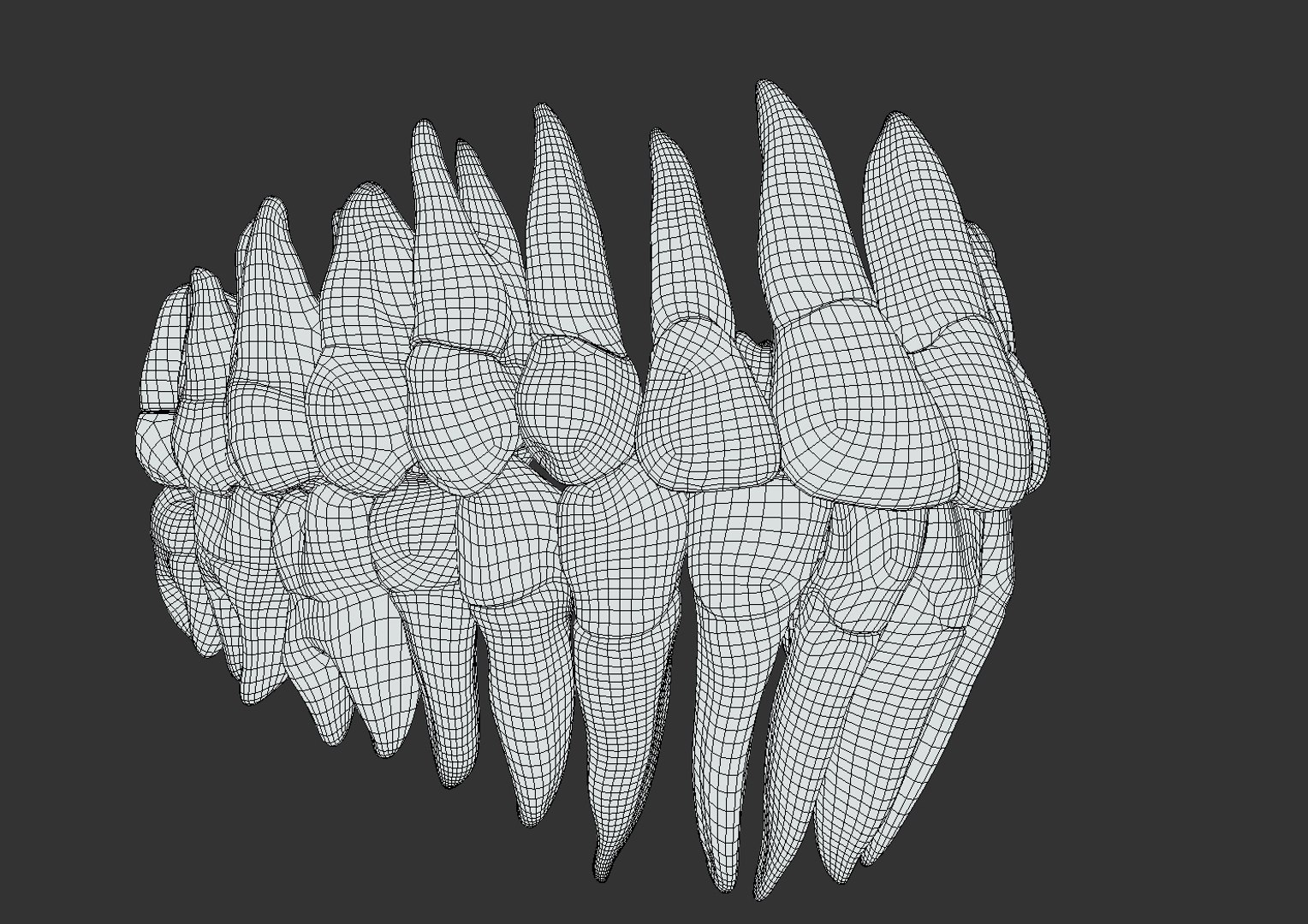 Human Teeth 3D Model - TurboSquid 1370198