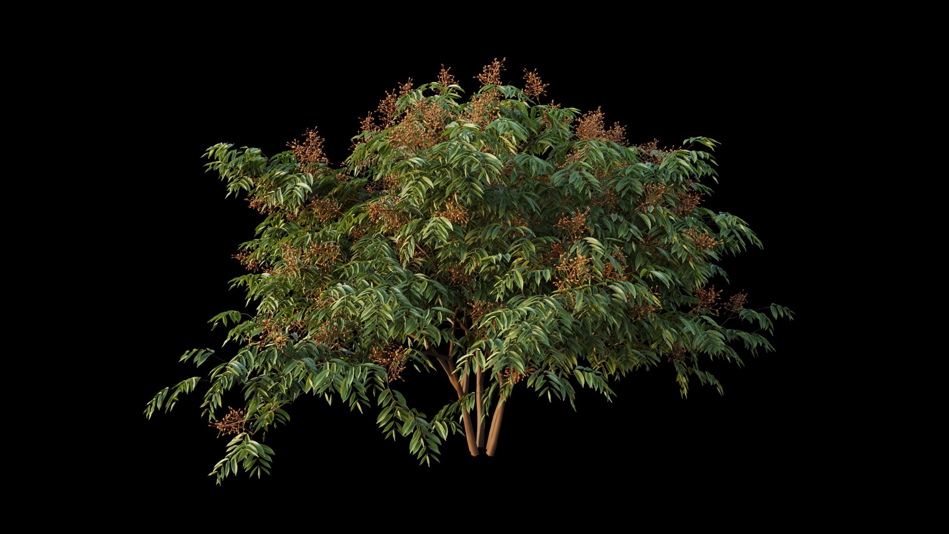 Privet 3D - TurboSquid 1864457