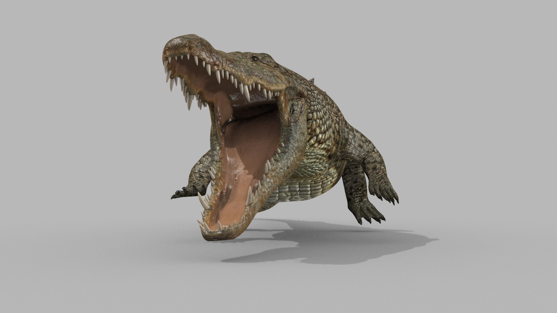 3D Terror Croc PRO - 8K 3D Animated Crocodile Model - TurboSquid 1814708