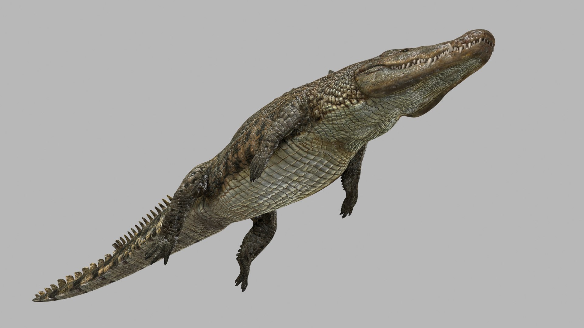 3D Terror Croc PRO - 8K 3D Animated Crocodile Model - TurboSquid 1814708