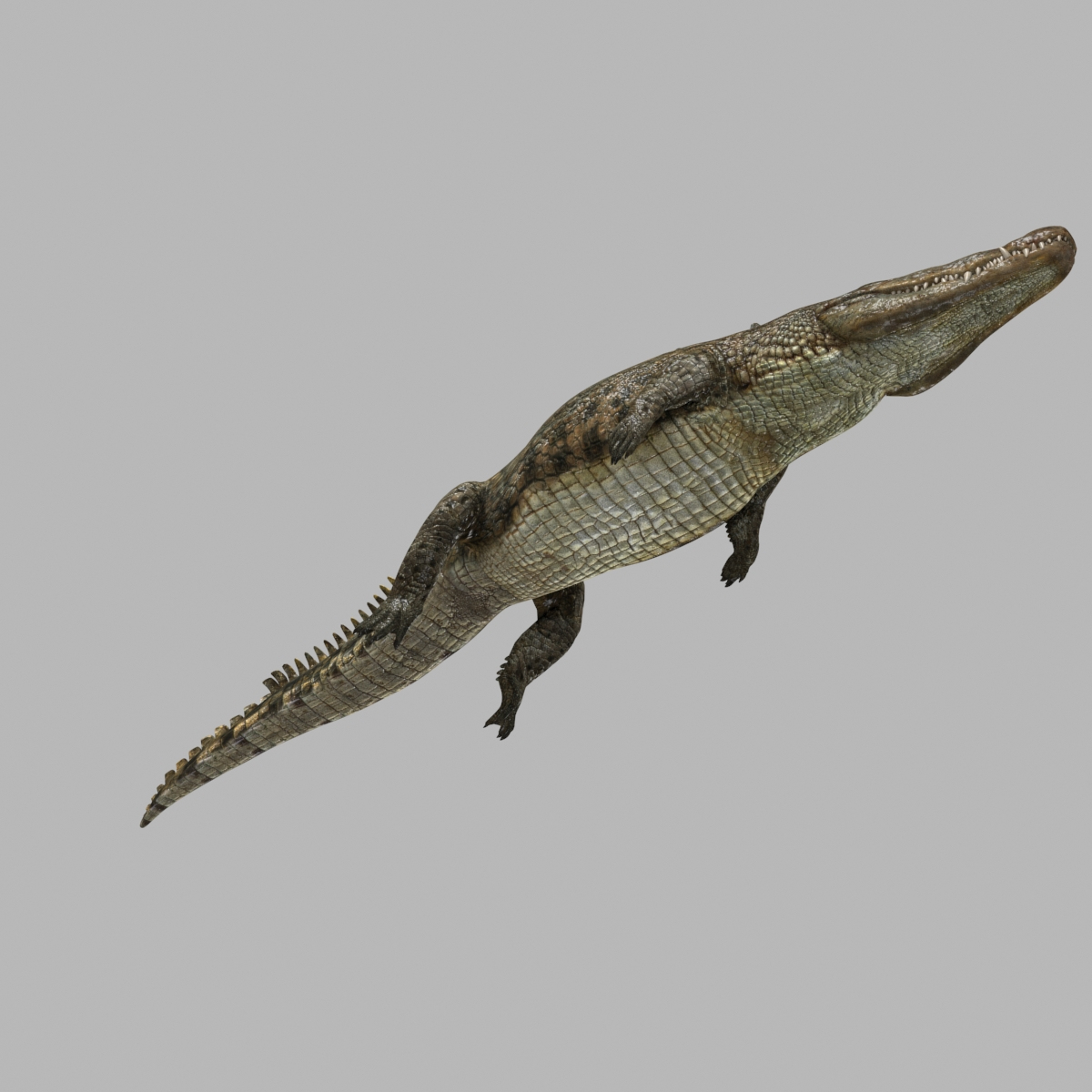 3D Terror Croc PRO - 8K 3D Animated Crocodile Model - TurboSquid 1814708