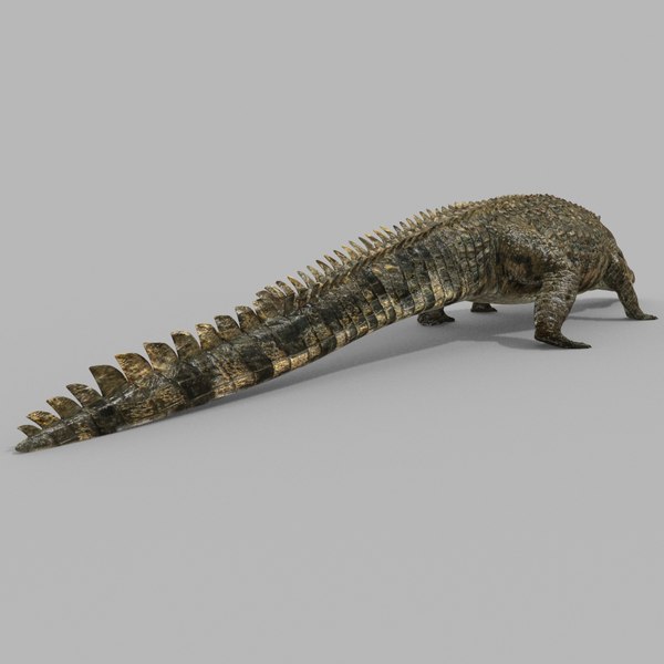 3D Terror Croc PRO - 8K 3D Animated Crocodile Model - TurboSquid 1814708