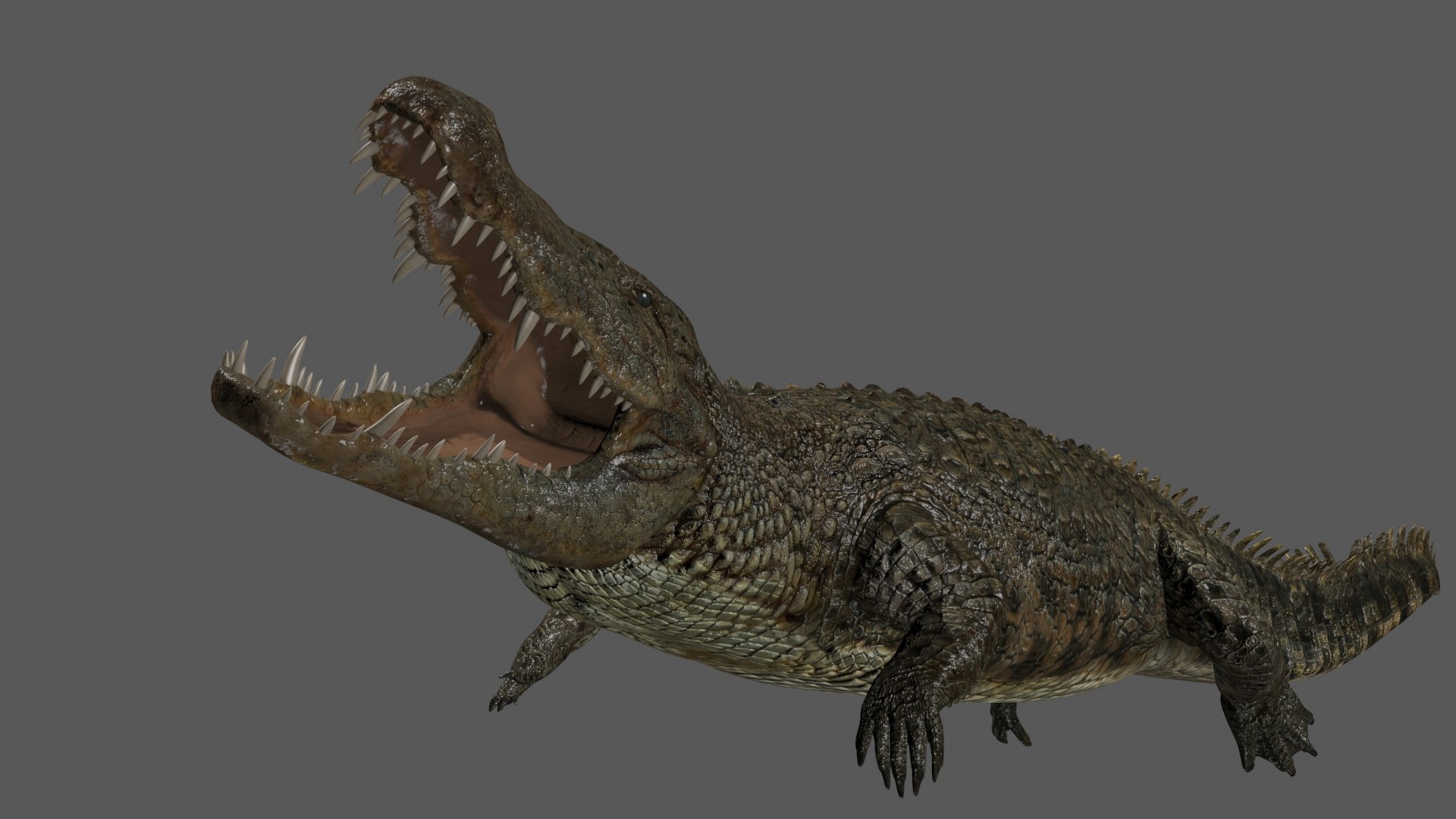 3D Terror Croc PRO - 8K 3D Animated Crocodile Model - TurboSquid 1814708