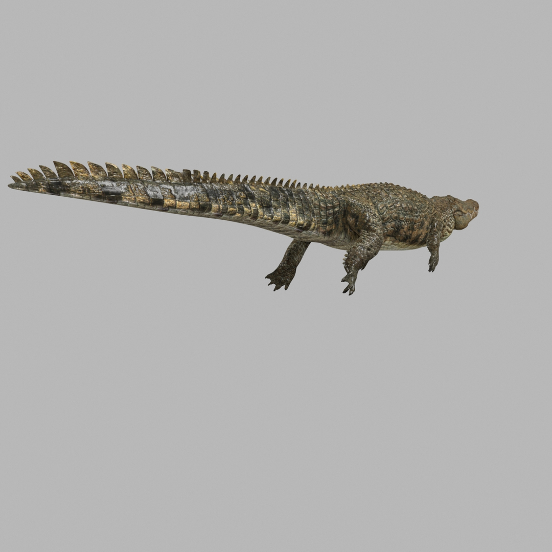 3D Terror Croc PRO - 8K 3D Animated Crocodile Model - TurboSquid 1814708