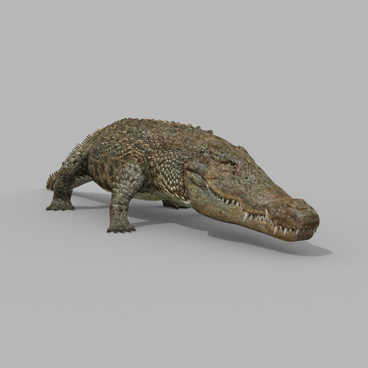 3D Terror Croc PRO - 8K 3D Animated Crocodile Model - TurboSquid 1814708