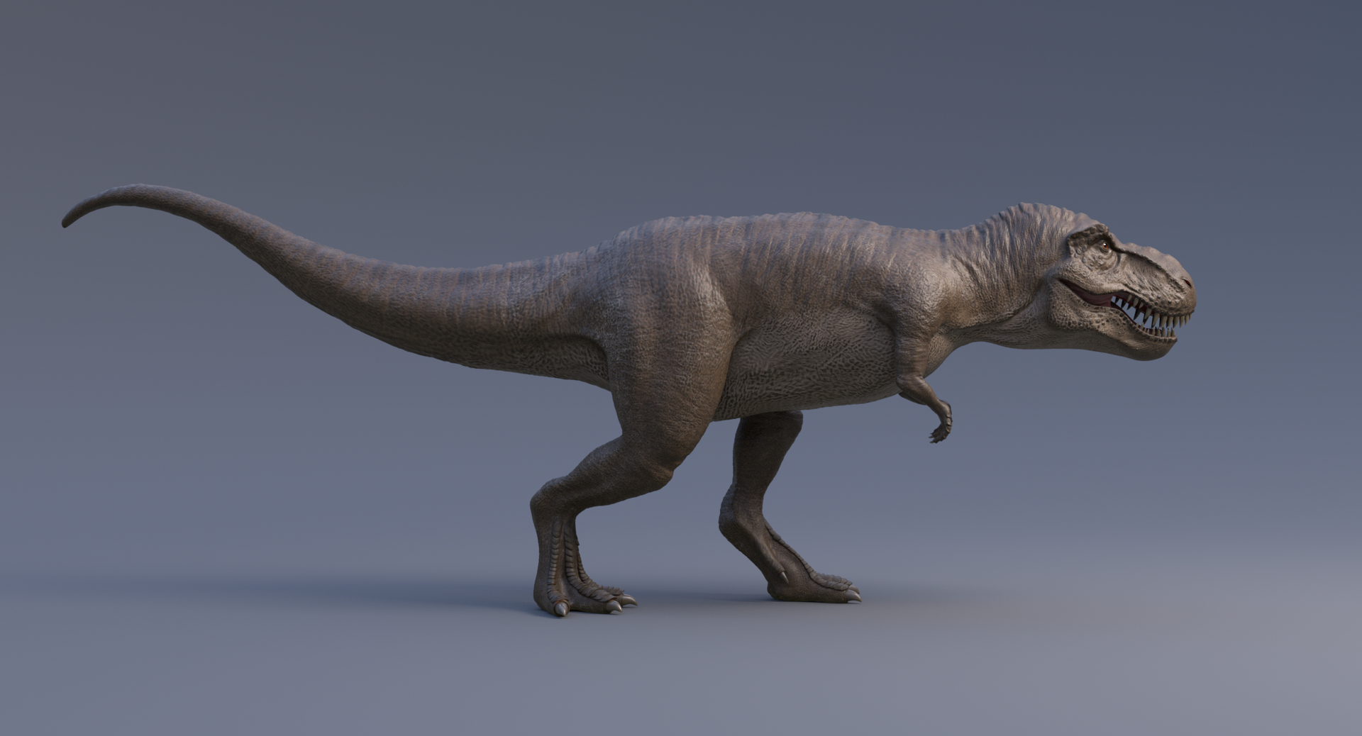 Arnold Rex Animation 3D Model - TurboSquid 1424184