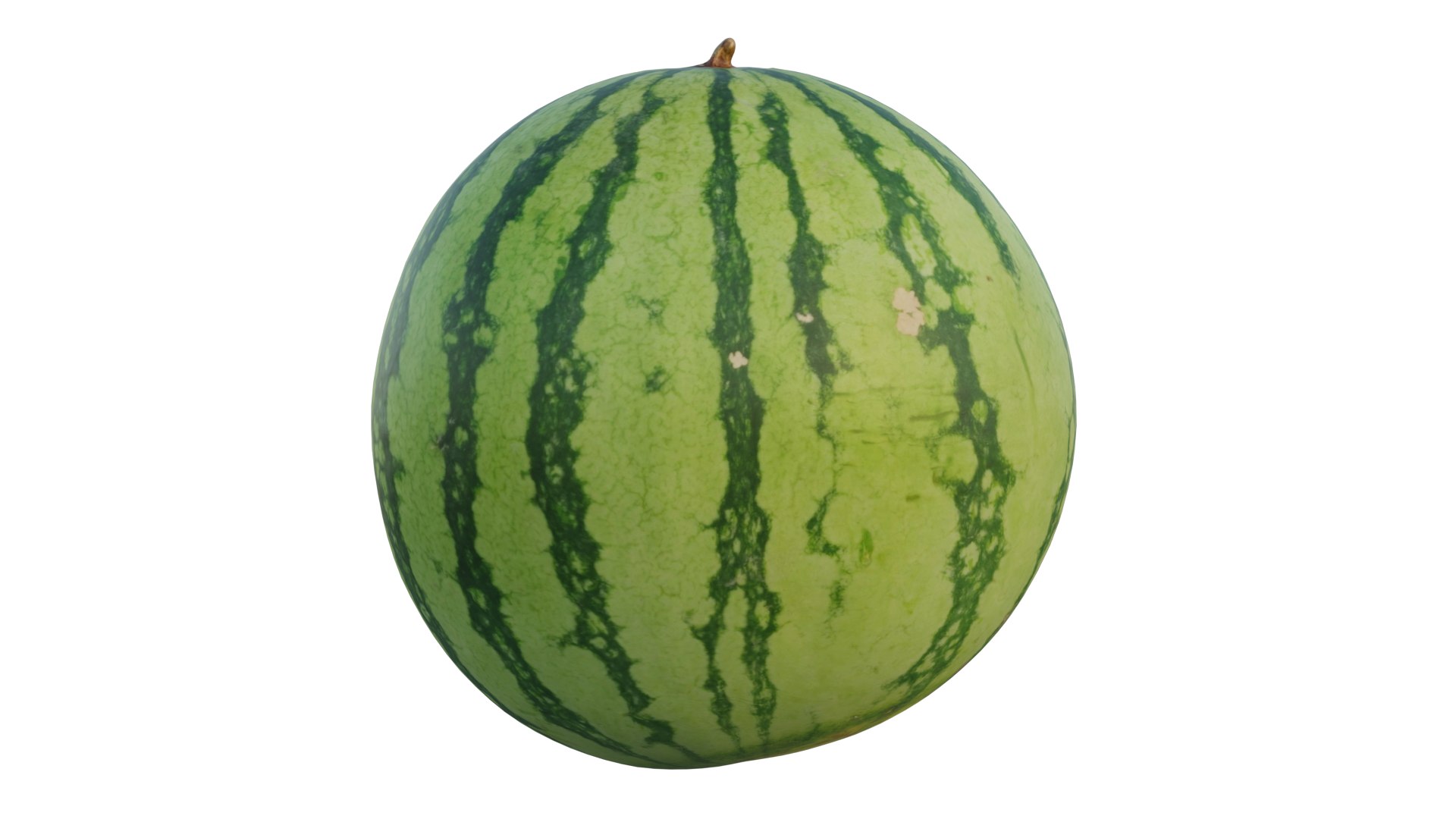 Watermelon 03 Model - TurboSquid 1927035 Watermelon 03 Model - TurboSquid 1927035