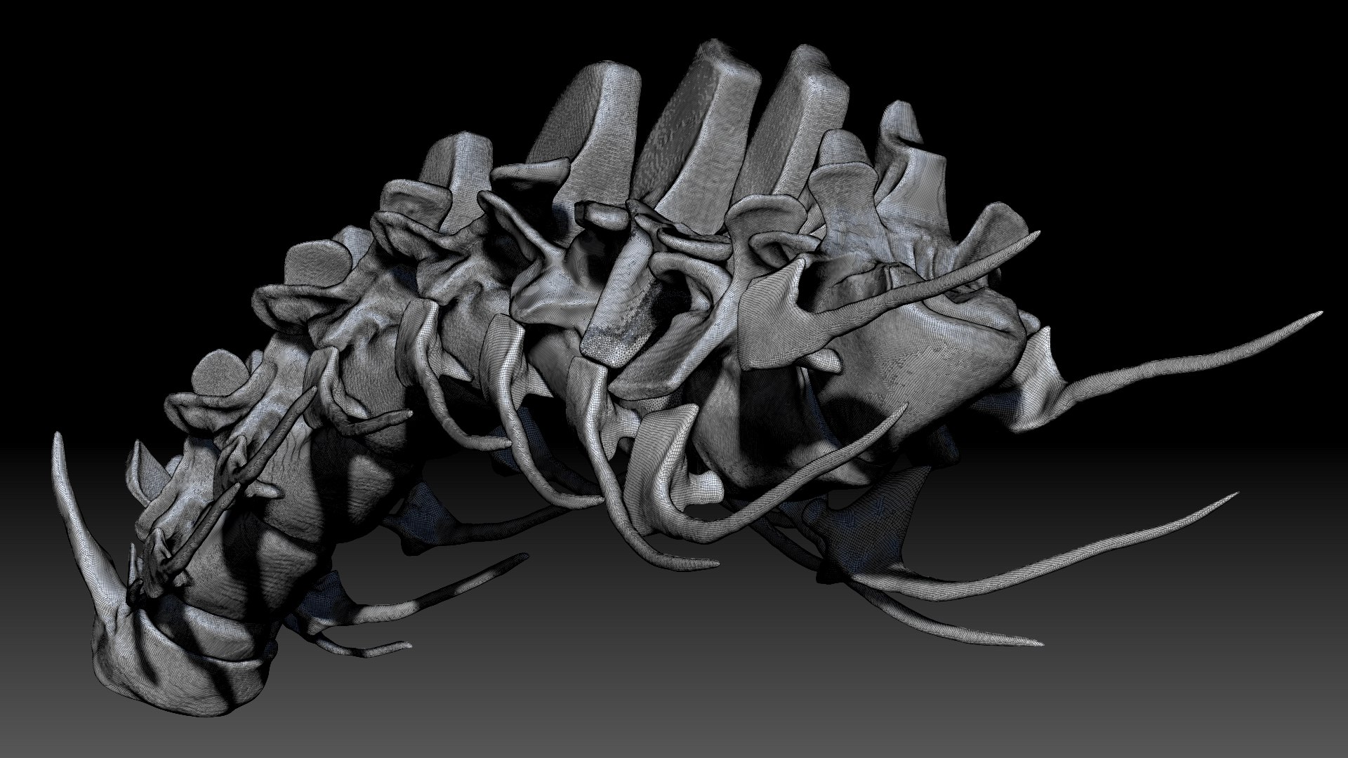 3D Spinosaurus Neck Skeletons Set model - TurboSquid 1714690