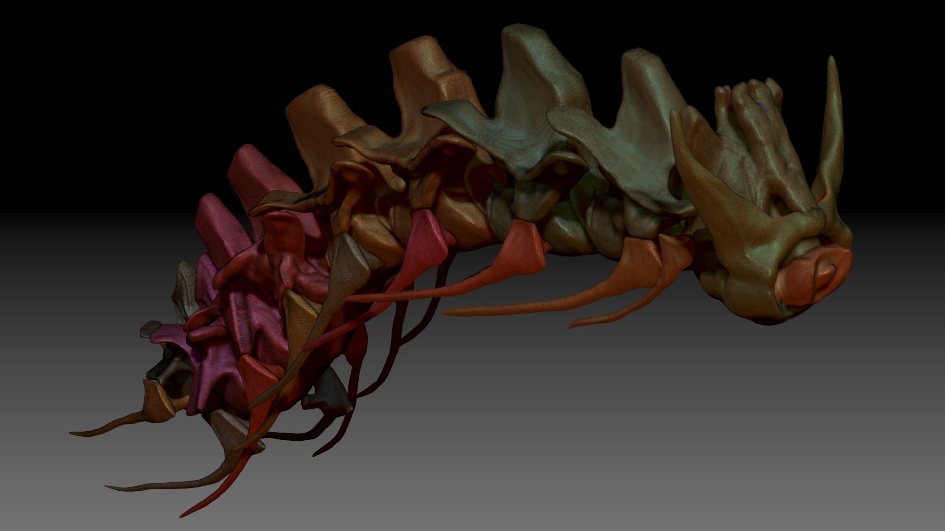 3D Spinosaurus Neck Skeletons Set model - TurboSquid 1714690